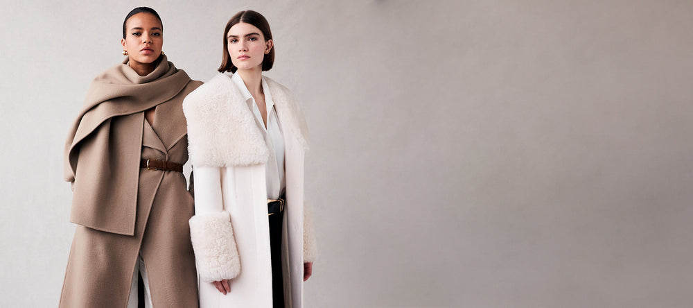 Dawn Levy - Official Website