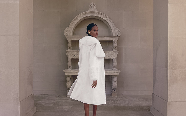 Dawn Levy - Official Website