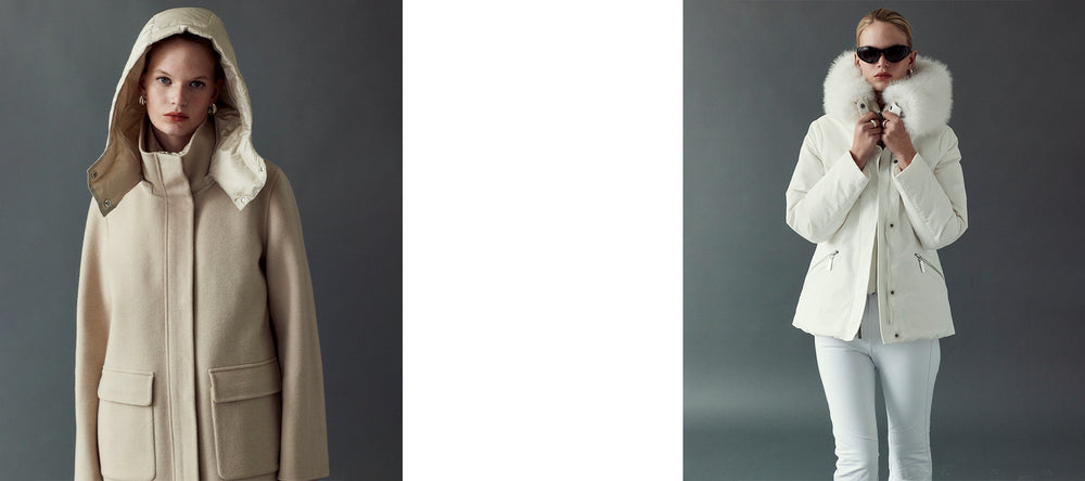 Dawn Levy - Official Website